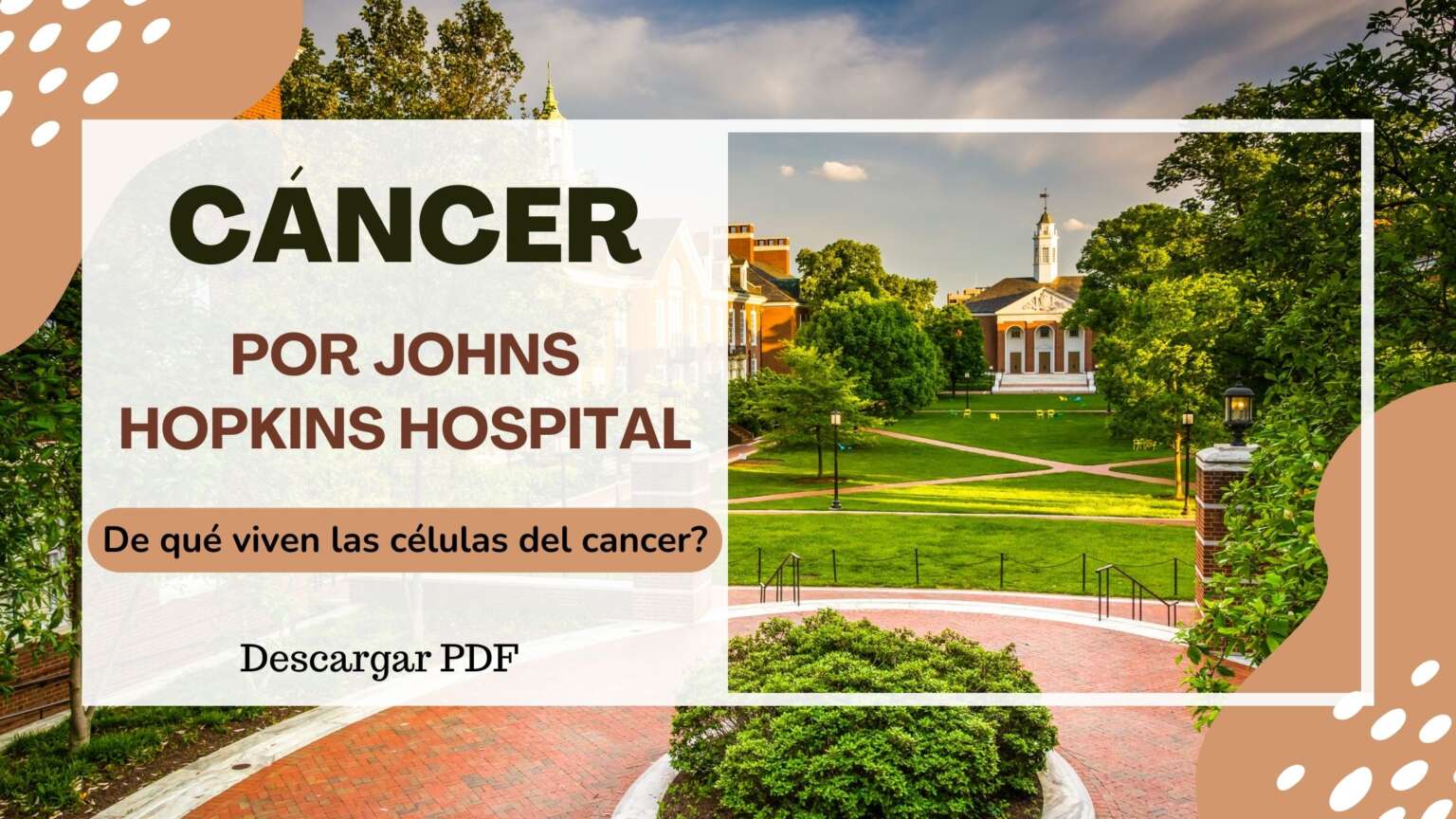 Cáncer por John Hopkins Hospital ¿De que viven las células del Cáncer ...